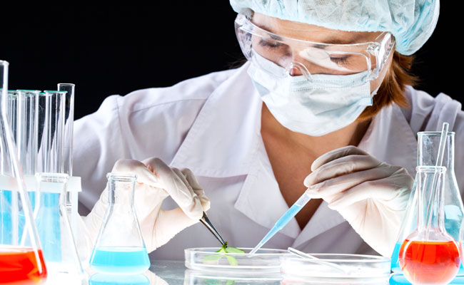 2014 es el Año de la Biotecnología - Blog del COBCM