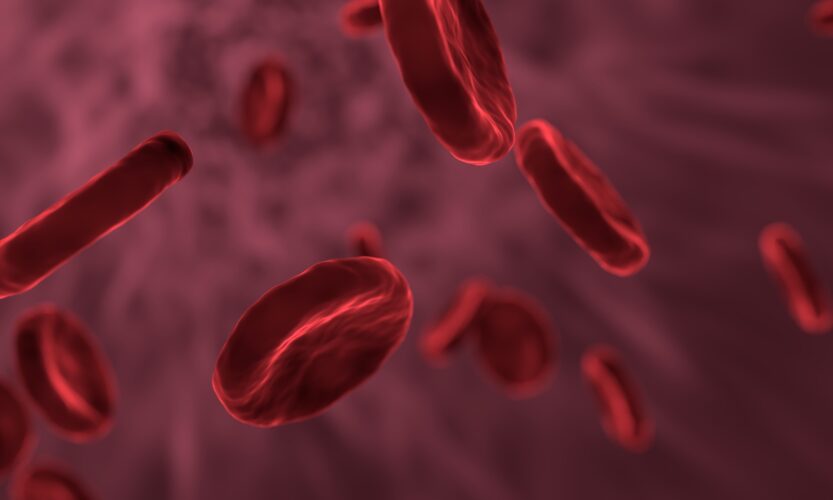 ¡Qué suerte que tenemos la hemoglobina para poder vivir! - Blog del COBCM