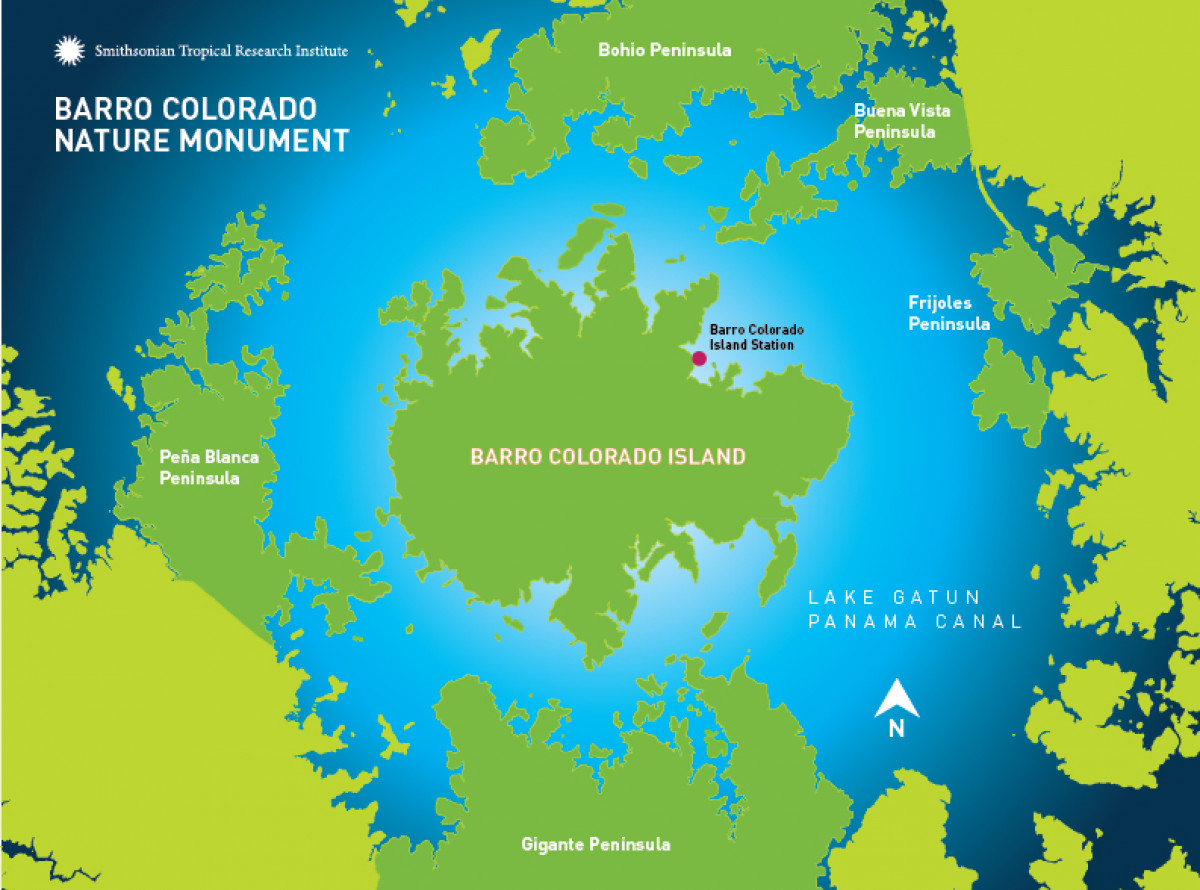 Biología de la conservación y el modelo de la biogeografía de islas ...